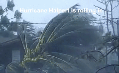 Hurricane Winds Gid
