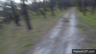 Go Pro: Man Gets Chased By Bear While Riding His Bike! on Make a GIF