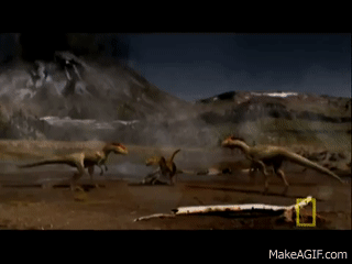 Dino Death Trap: Guanlong VS Limusaurus on Make a GIF