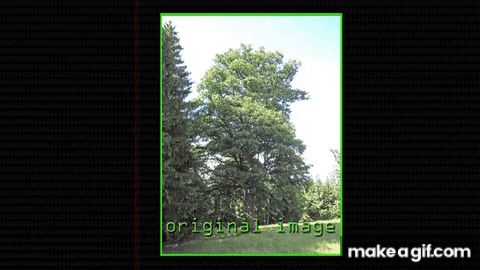 Secrets Hidden in Images (Steganography) - Computerphile on Make a GIF