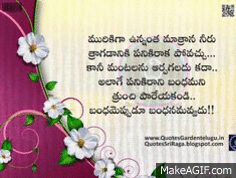 HAPPY BIRTHDAY AKKA on Make a GIF