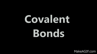 Dogs Teaching Chemistry - Chemical Bonds on Make a GIF