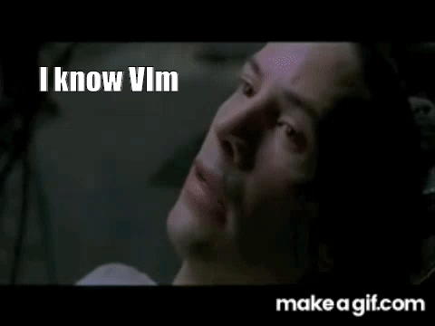 Matrix - I Know Kung VIm on Make a GIF