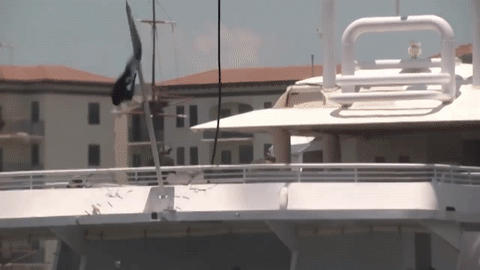 Special Operations Forces Demonstration In Downtown Tampa on Make a GIF