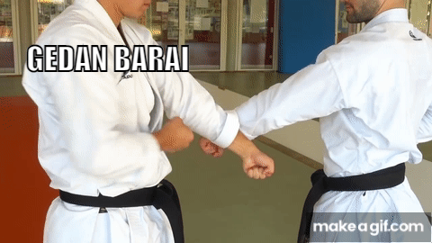 how to GEDAN BARAI, AGE UKE, SOTO UKE, UCHI UKE - all karate basic ...