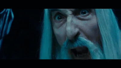 LOTR The Fellowship of the Ring - Saruman the White on Make a GIF