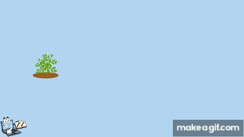 Food Chain | Food Web | Video for Kids on Make a GIF