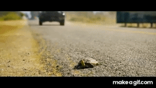 Sonic Rescues A Turtle Scene - SONIC: THE HEDGEHOG (2020) Movie Clip on ...