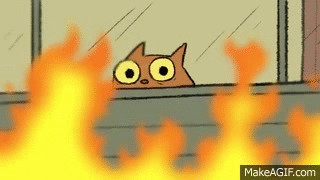 The smartest dog in the world on Make a GIF