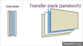 Transfer proteins to the membrane for Western blot analysis on Make a GIF