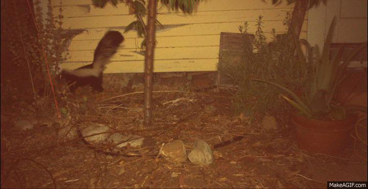 lISfen is an Animated GIF Image on Make a GIF