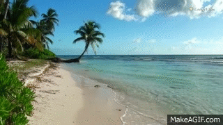 Those Relaxing Sounds of Waves - Ocean Sounds, 1080p HD Video on Make a GIF