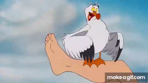 Scuttle Going Up on Make a GIF