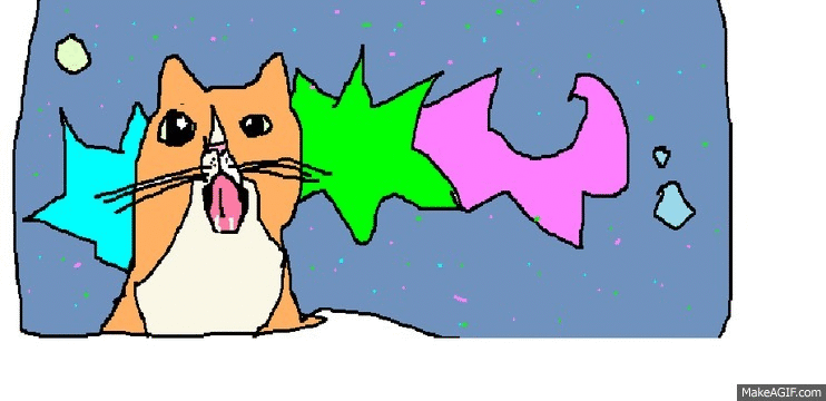 Space cat on Make a GIF