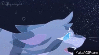I Will Be There -Greystripe and Silverstream- [Complete MAP] on Make a GIF