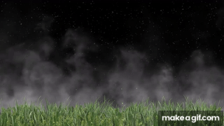 Free Stock Videos – grass, dust particles, fireflies and ground fog on ...