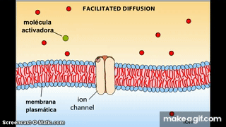 Difusión facilitada: proteínas de canal on Make a GIF