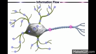 Neural Networks, A Simple Explanation on Make a GIF