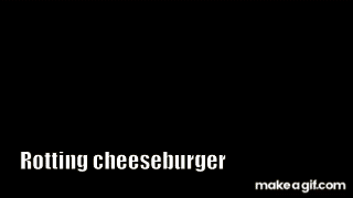 Rotting Hamburger Timelapse Footage on Make a GIF