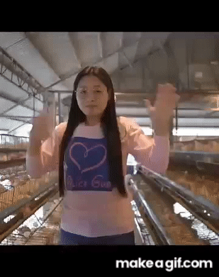 Ba-Bye Chicken Alice Guo on Make a GIF