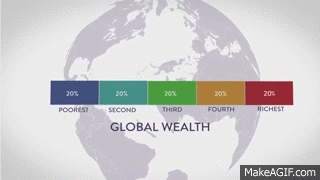 Global Wealth Inequality - What you never knew you never knew on Make a GIF
