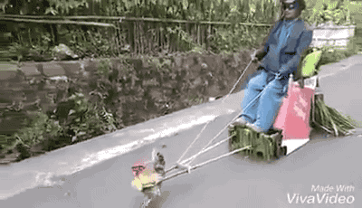 strong chicken. [video] on Make a GIF