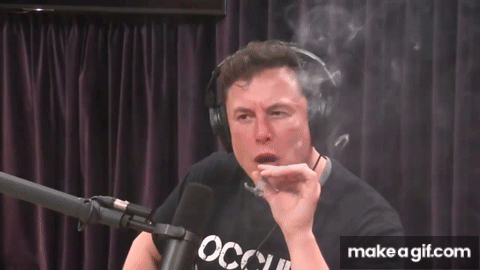 Joe Rogan Smokes With Elon Musk on Make a GIF