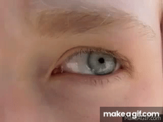 saccades on Make a GIF