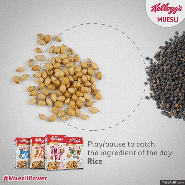 Rice on Make a GIF