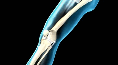 Knee Joint - Range of Movement - 3D Medical Animation || ABP © on Make ...