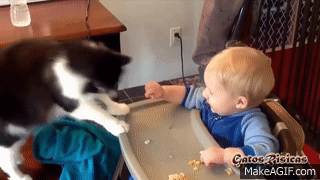 Gifs Más Divertidos Discovering New Talents.