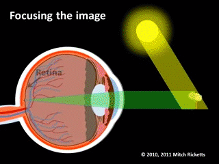 Seeing: Eyes and Vision, Part 2 on Make a GIF