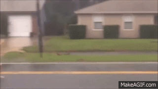 Hurricane Matthew Rocker Gif