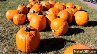 Pumpkin Patch Picking Farm Theme Song Pictures Kids Prank Vlog ...