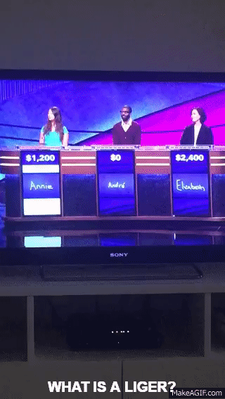 WHAT IS A LIGER? on Make a GIF