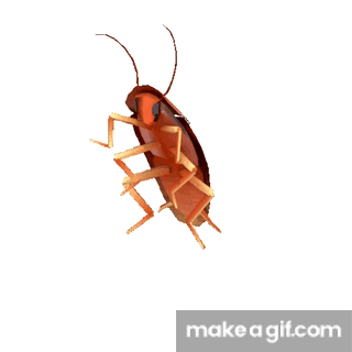 Dancing Roach Autotune [HD Remaster] - Extended Cut on Make a GIF