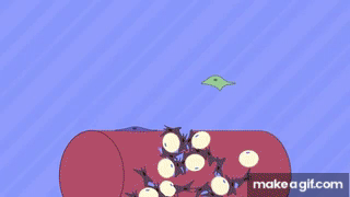 The Role of Satellite Cells and FAPs in Muscle Regeneration on Make a GIF