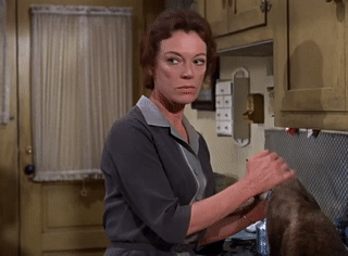 That Darn Cat! on Make a GIF