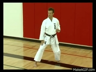 Basic Karate Punches: Gyakuzuki - Reverse punch on Make a GIF