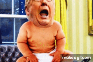 Ranting, Tantrum, Trump on Make a GIF