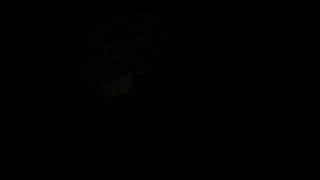 CDC TBI Animation on Make a GIF