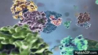 Introduction to Biochemistry HD on Make a GIF