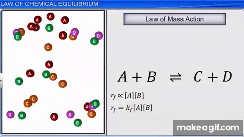 CBSE Class 11 Chemistry || Equilibrium Chemistry Part 1 || Full Chapter ...