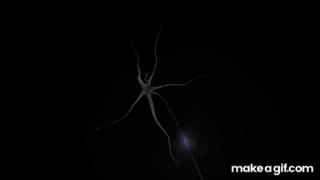 Neurons and What They Do ~ An Animated Guide on Make a GIF