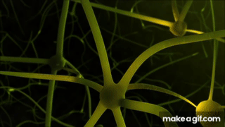 Neurônios Neurotransmissores Sistema Nervoso Cérebro Animação 3D Música ...