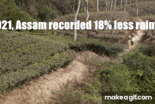 assam climate on Make a GIF