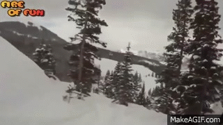 Funny Videos: Stupid people doing stupid things on Make a GIF