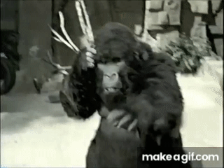 T Mobile Monkey Boy Commercial (Harambe Makes A Call) on Make a GIF