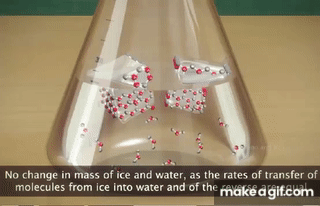 Equilibrium in physical and chemical processes on Make a GIF