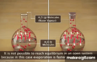 Equilibrium in physical and chemical processes on Make a GIF